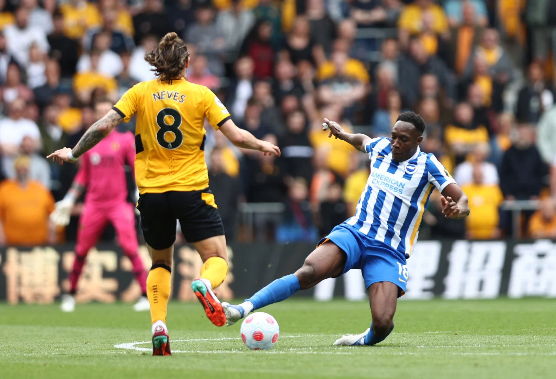 Premier League: Brighton vs Wolves
