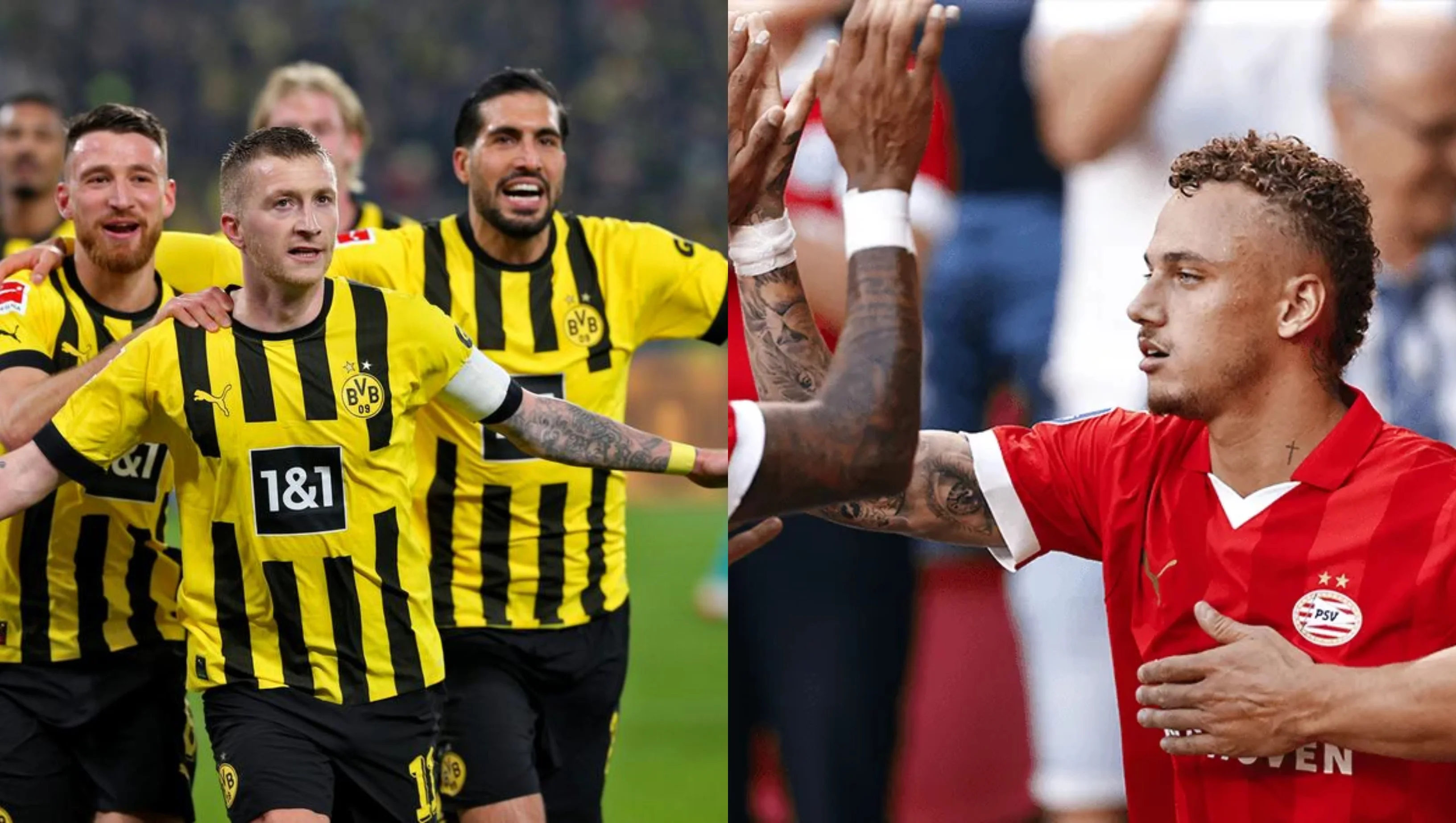 PSV Eindhoven vs Borussia Dortmund Preview - 20/02/2024 - UEFA ...